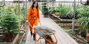 Step by Step Guide to Using Wheelbarrow: Master Every Move Easily ...